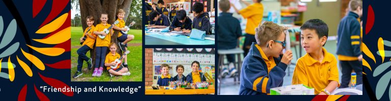Uniforms – Banksia Park Primary School
